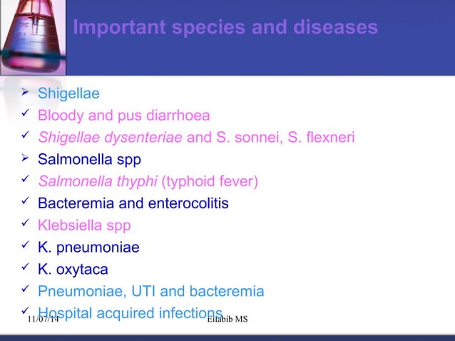 Lab identification of enterobacteriacae | PPT