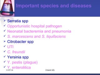 Lab identification of enterobacteriacae | PPT