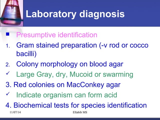 Lab identification of enterobacteriacae | PPT