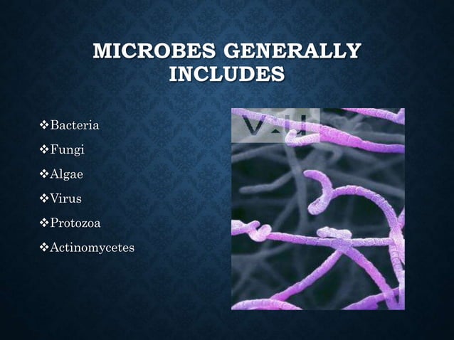 Micriobiology & Microbes | PPT