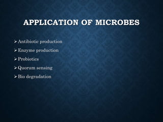 Micriobiology & Microbes | PPT