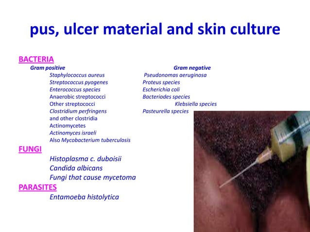 Lab investig | PPTX | Infectious Diseases | Diseases and Conditions
