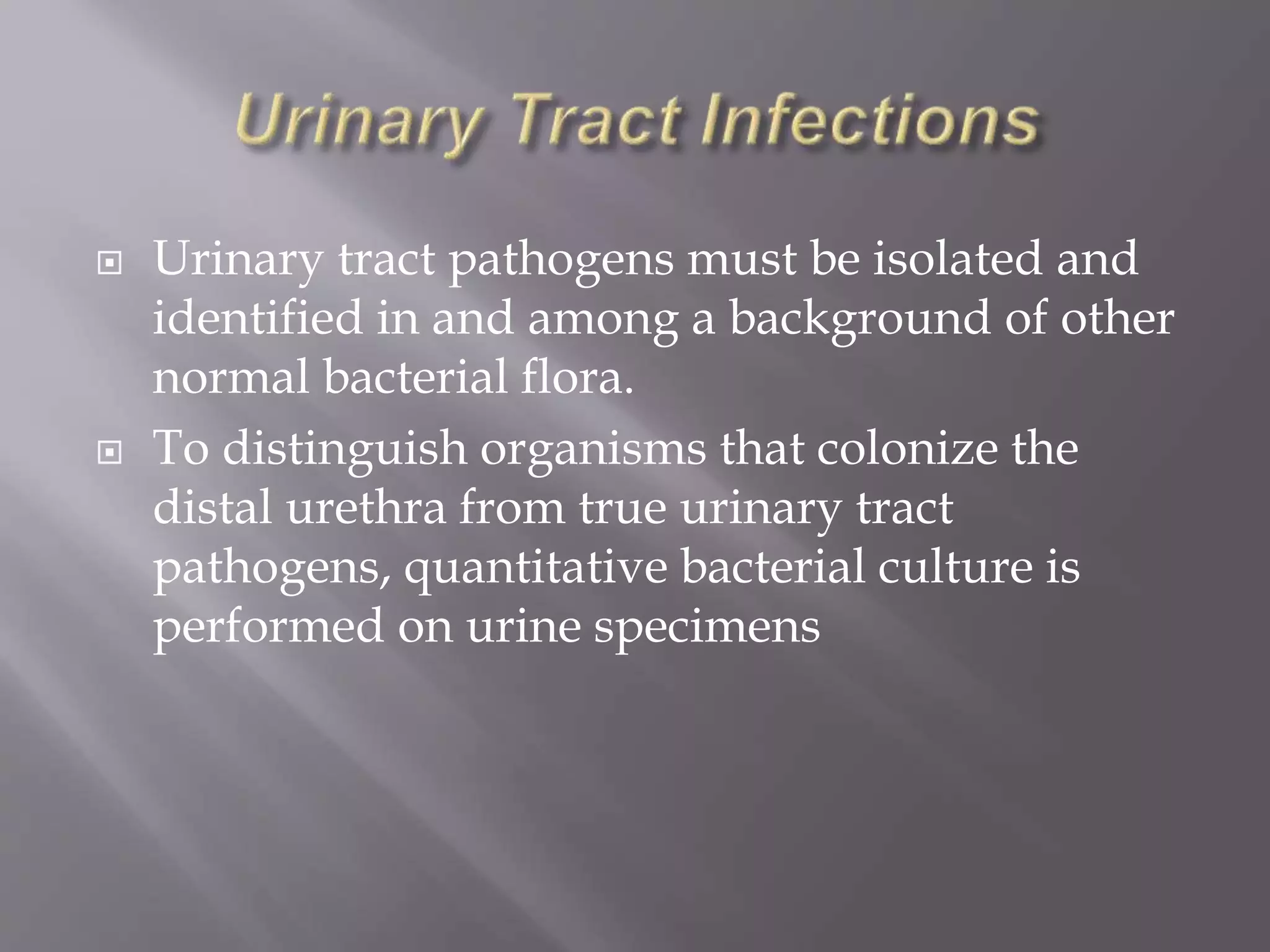 Lab Investigation Bacterial Infections.pptx