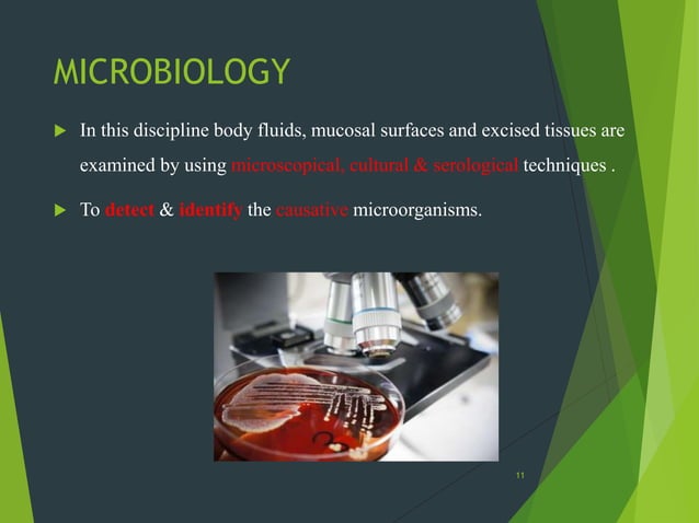 Lab investigations and interpretations in periodontics | PPTX