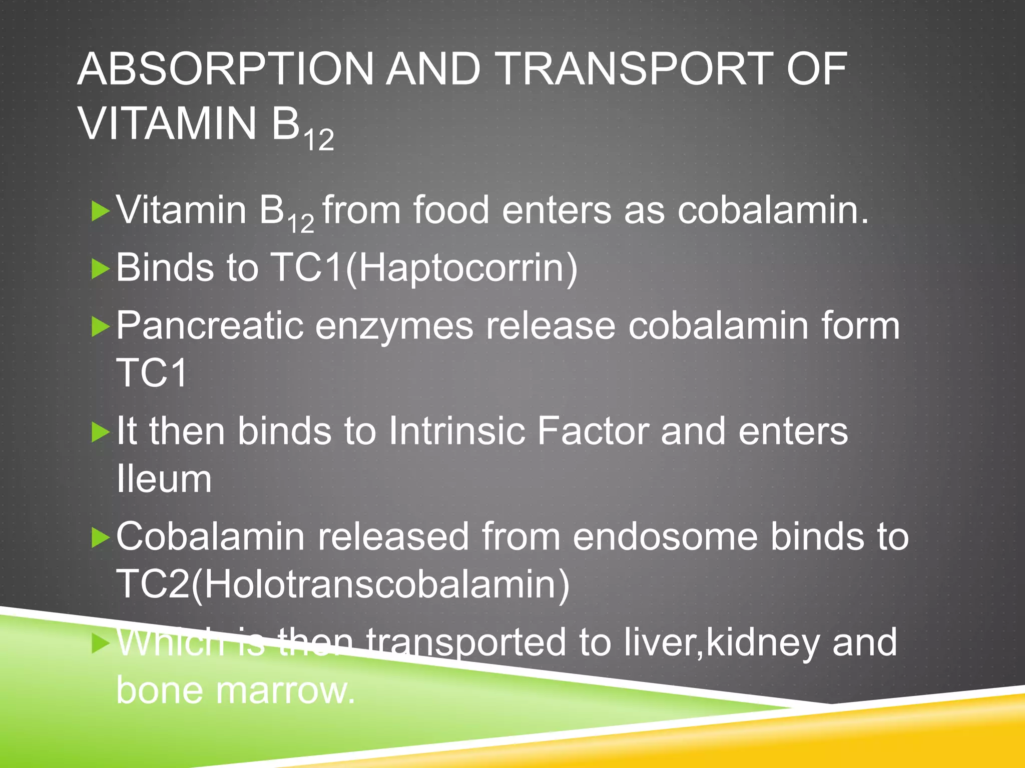 Lab investigations of megaloblastic anaemia | PPTX