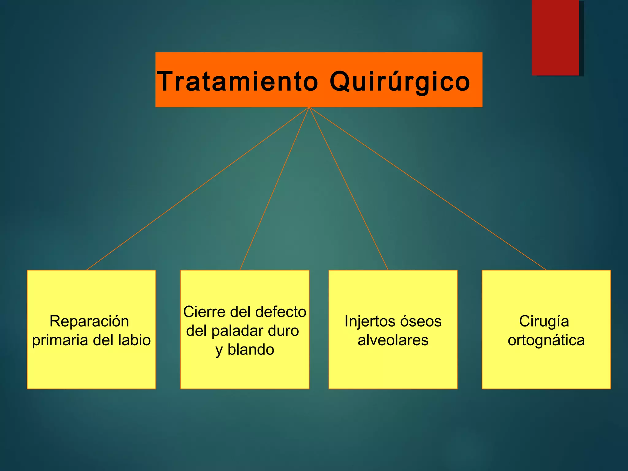 LABIO LEPORINO, FISURA DE PALADAR, TRATAMIENTO PRIMARIO | PPT