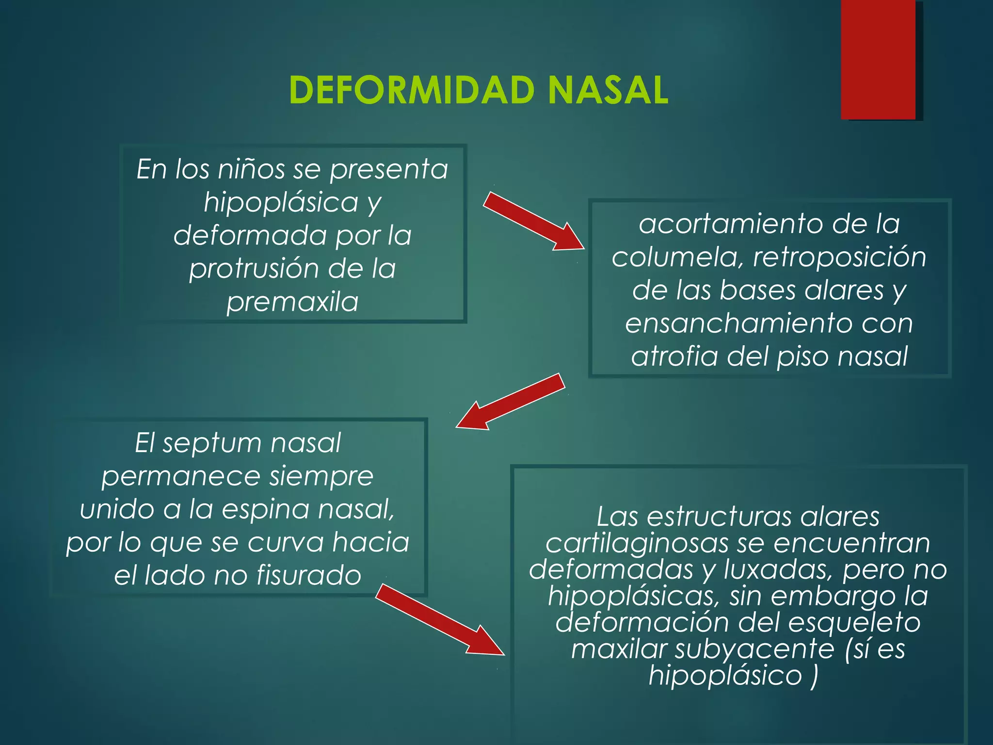 LABIO LEPORINO, FISURA DE PALADAR, TRATAMIENTO PRIMARIO | PPT