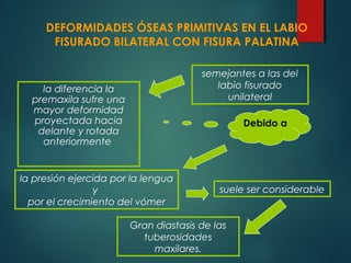 LABIO LEPORINO, FISURA DE PALADAR, TRATAMIENTO PRIMARIO | PPT
