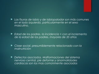 LABIO LEPORINO, FISURA DE PALADAR, TRATAMIENTO PRIMARIO | PPT