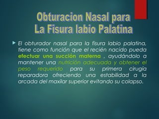 LABIO LEPORINO, FISURA DE PALADAR, TRATAMIENTO PRIMARIO | PPT