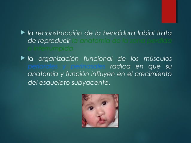 LABIO LEPORINO, FISURA DE PALADAR, TRATAMIENTO PRIMARIO | PPT
