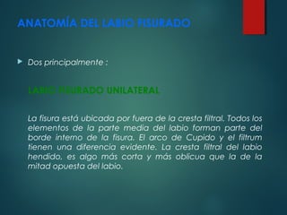 LABIO LEPORINO, FISURA DE PALADAR, TRATAMIENTO PRIMARIO | PPT