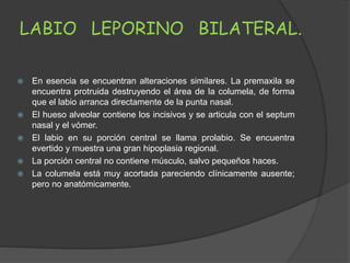 Labio leporino | PPTX