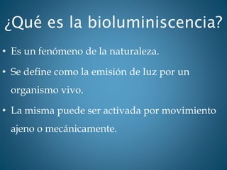 La bioluminiscencia | PPTX