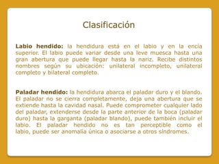 Labio, paladar hendido | PPTX