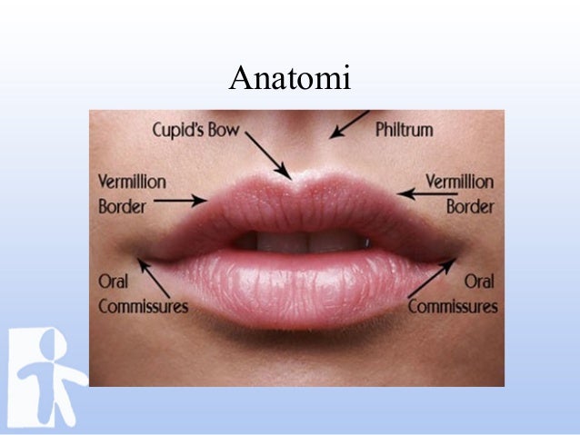 Labioplasty jumat ilmiah