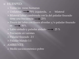 Labio y paladar hendido. | PPTX
