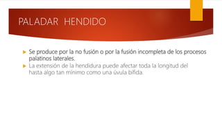 Labio y paladar hendido GENETICA CLINICA | PPTX