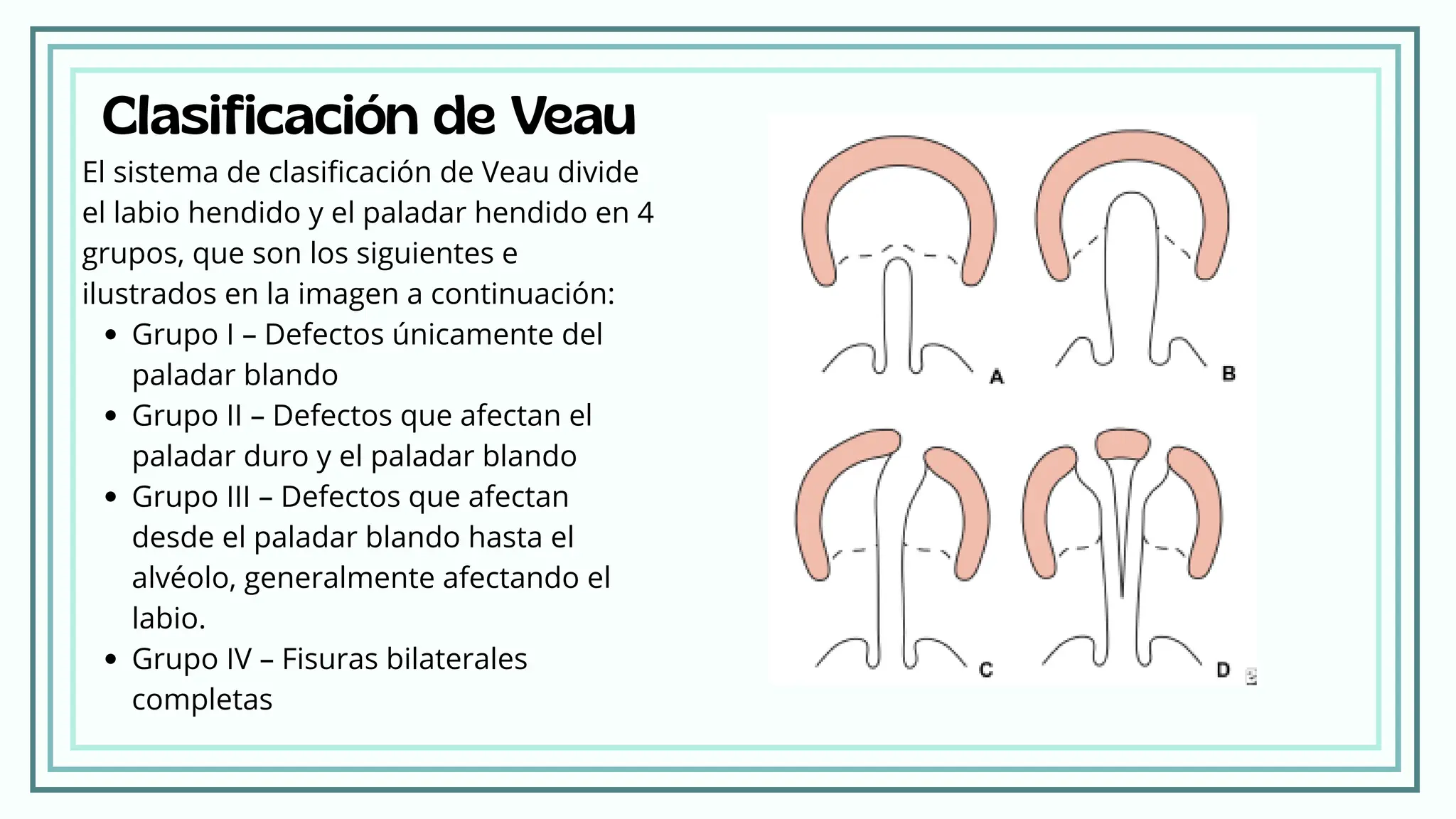 Labio y paladar hendido en niños y adolencentes.pdf