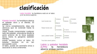 LABIO Y PALADAR HENDIDO ISABEL_082326 (1).pdf