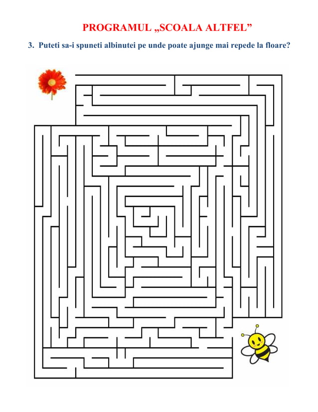 Labirint&puzzle | PDF