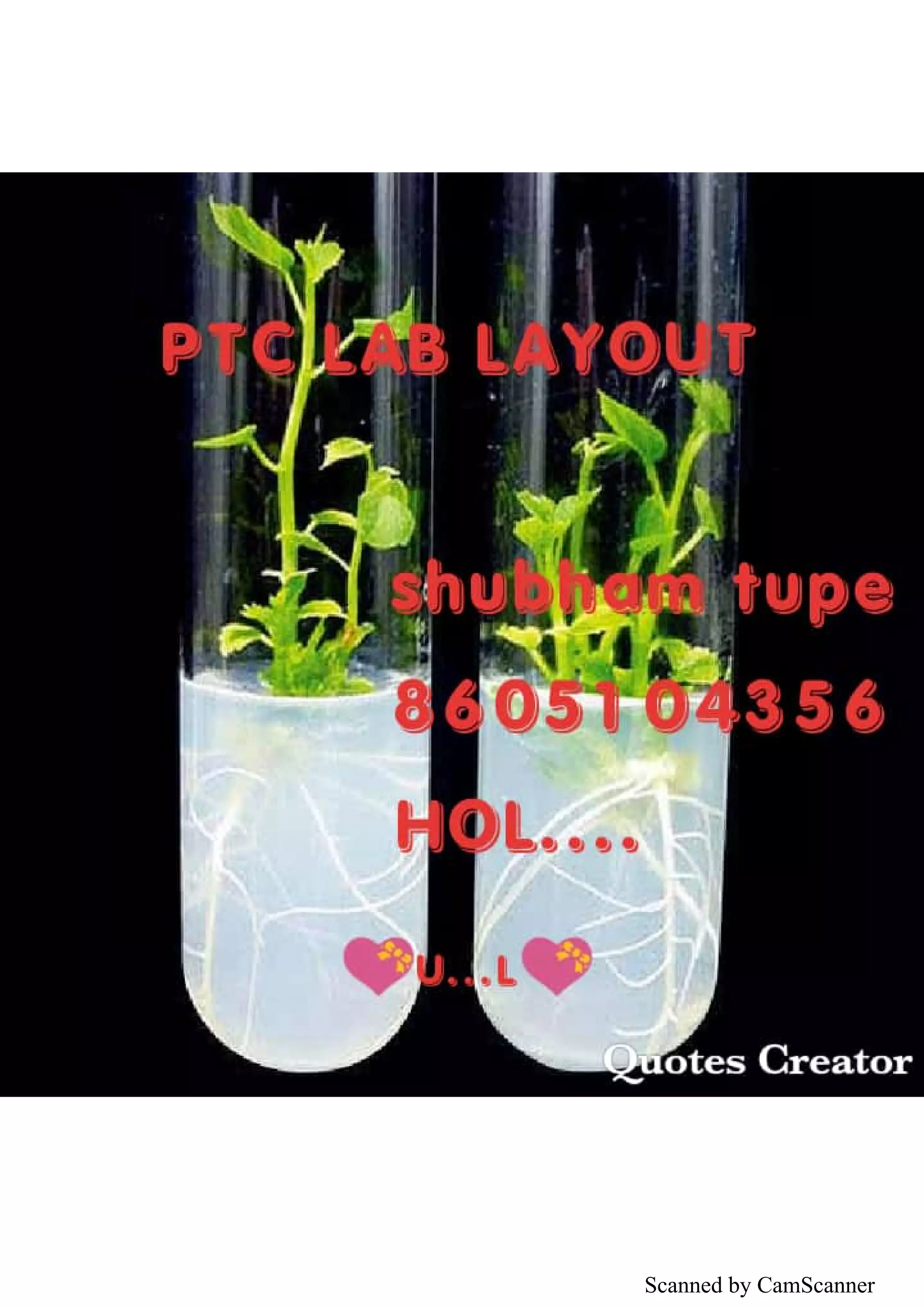 Lab layout ptc | PDF