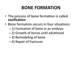 Lab manual (bone)2 (3).pptx