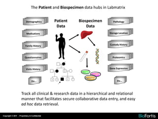 Labmatrix Slides 2011 05 | PPT