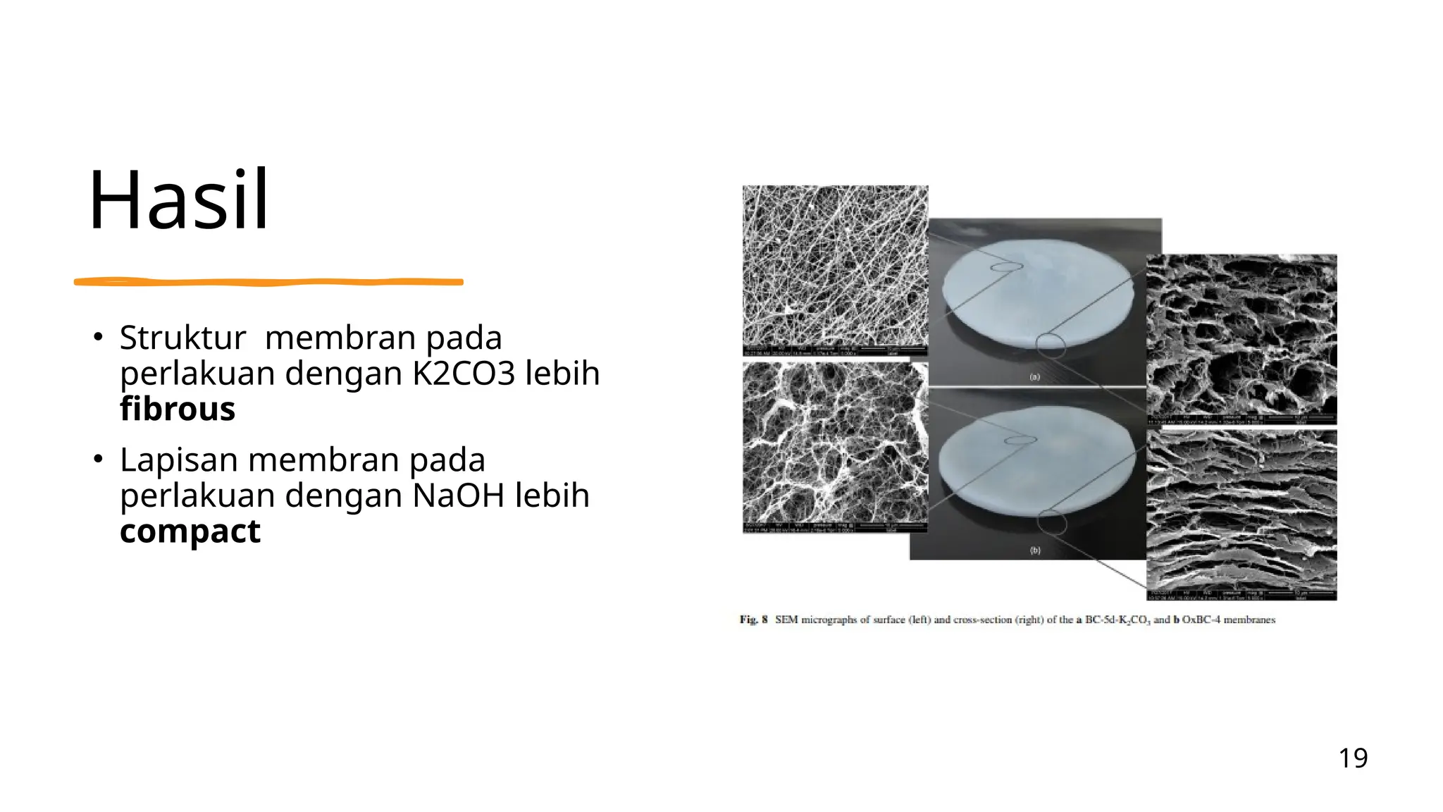lab meet presentation for Final project.pptx
