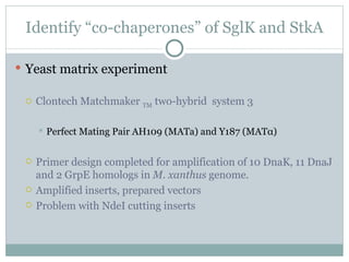 Masters Thesis Research | PPT