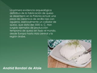 Anahid Bandari de Ataie - Labneh, queso de yogur | PDF