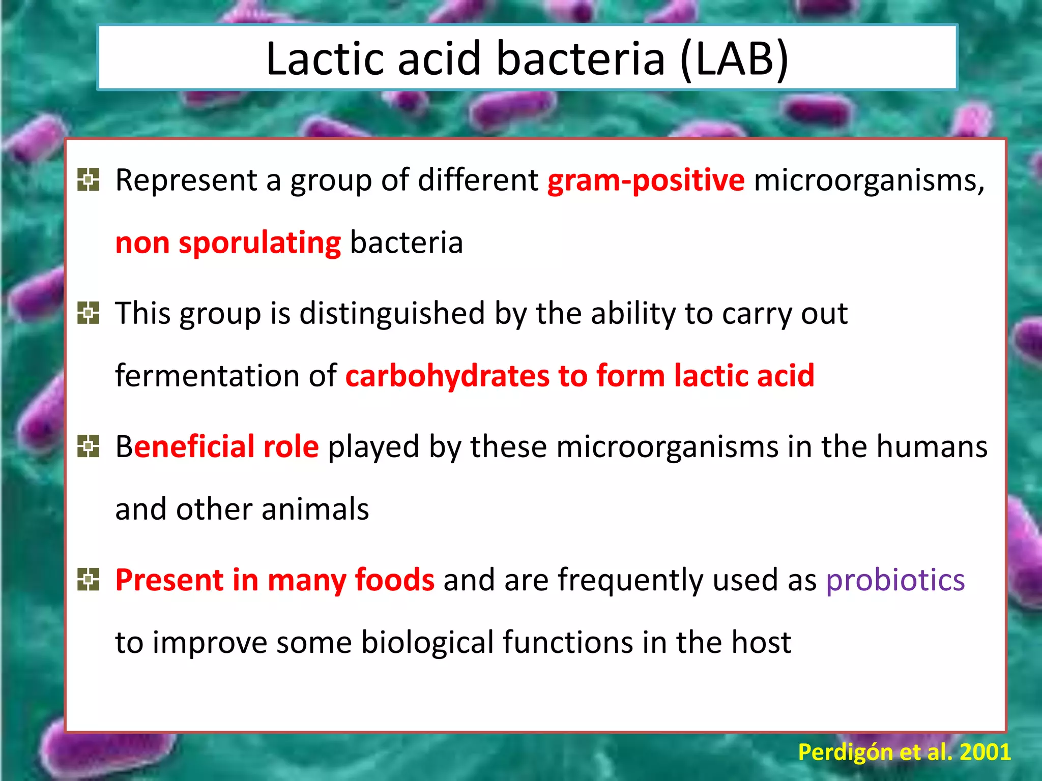 Lactic Acid Bacteria | PPTX