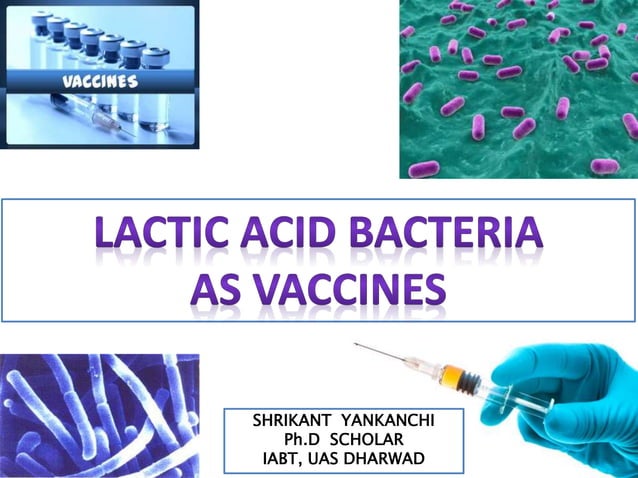 Lactic Acid Bacteria | PPTX | Infectious Diseases | Diseases and Conditions