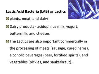 Lactic Acid Bacteria | PPTX