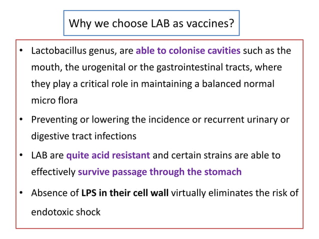 Lactic Acid Bacteria | PPT