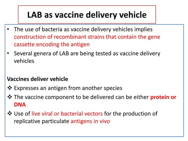 Lactic Acid Bacteria | PPTX | Infectious Diseases | Diseases and Conditions