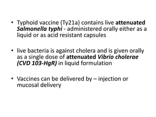 Lactic Acid Bacteria | PPTX