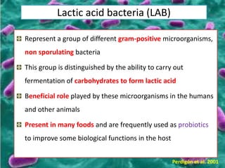 Lactic Acid Bacteria | PPTX
