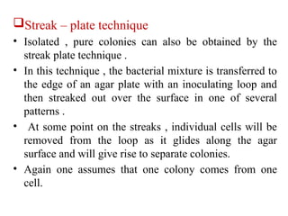 cluture medis bacteria fungi isolation petri | PPT