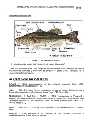 EXAMEN FÍSICO ORGANOLÉPTICO DEL PESCADO DE ESPECIE JUREL. | DOCX