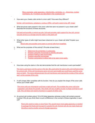 Labonionanswersheet | DOCX