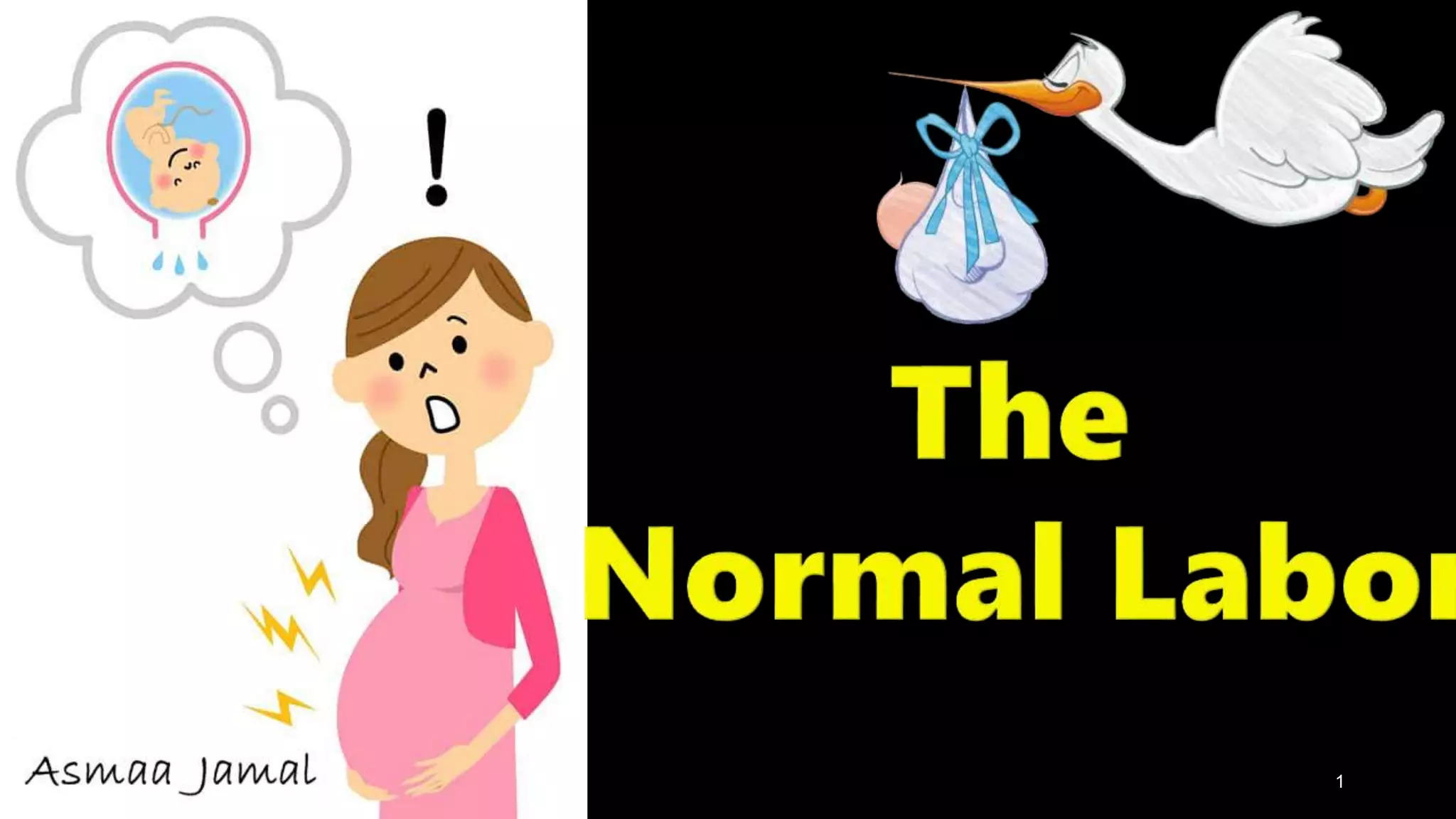 The normal labor and delivery | PPTX