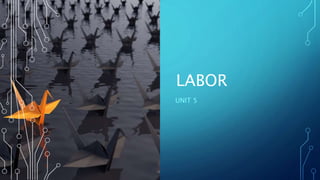 Labor | PPT