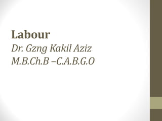 Labor ,physiology ,mechanism, pathway ,pain management during labour | PDF