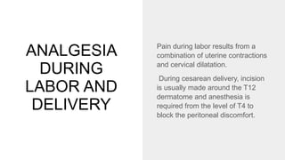 Labor analgesia and anesthesia in modern obs | PPTX