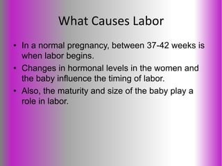 Labor and childbirth | PPT