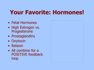 The Stages of Labor and Delivery Lecture.ppt