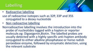 Laboratary diagnosis of viral lesions | PPTX