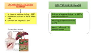 Laboratorio Clínico de Enfermedades Hepáticas y Pancreáticas | PPTX