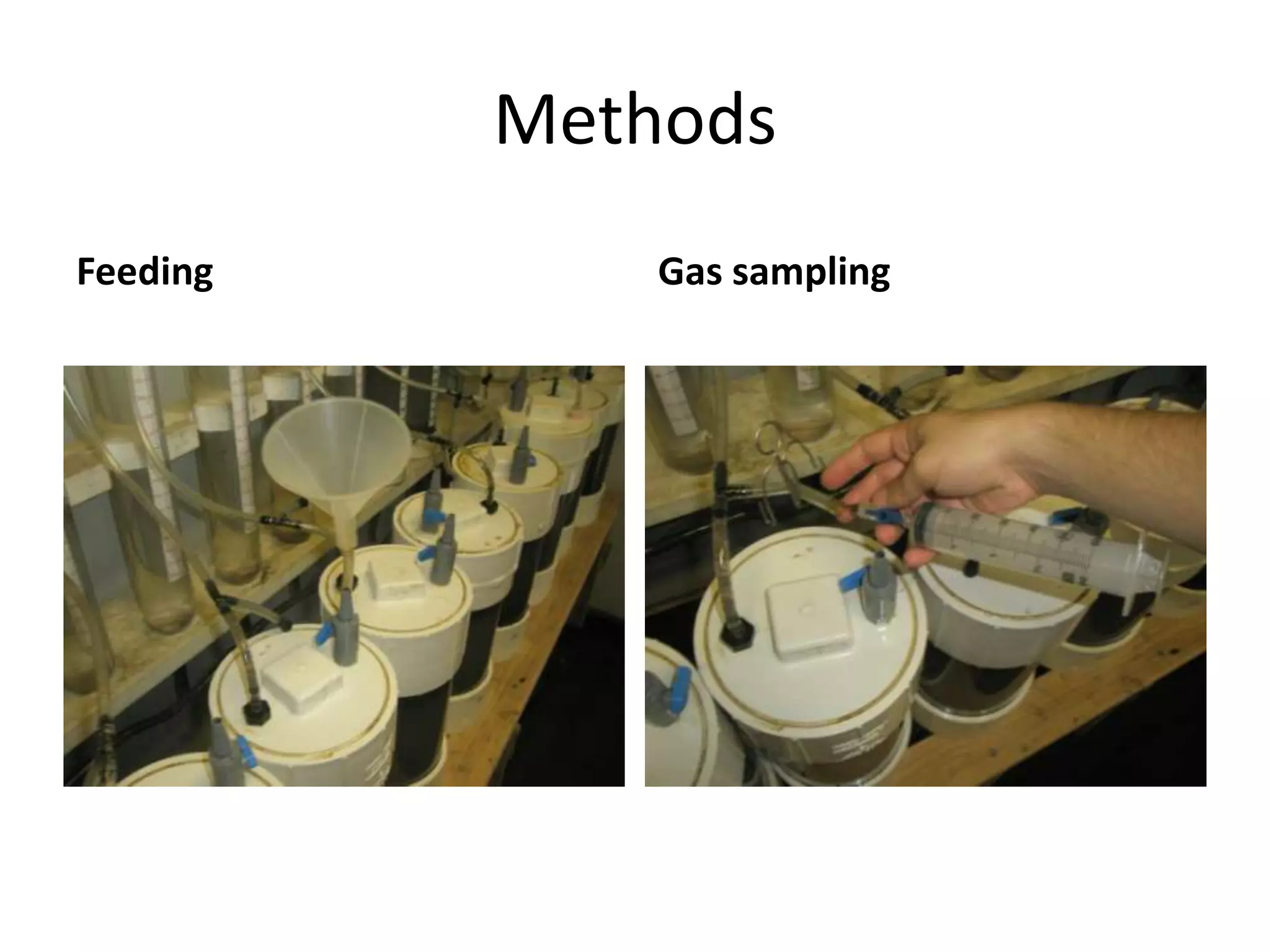 Laboratorio biogas lucas | PPTX